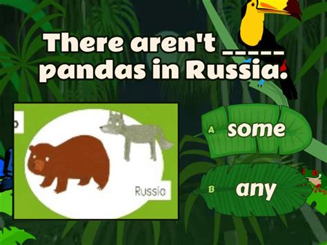 AS2 Some Vs Any Review Quiz