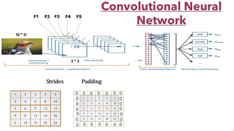 A Friendly Introduction To Convolutional Neural Networks Cnn Image