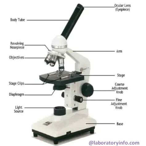 Simple Microscope Parts Functions Diagram And Labelling