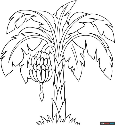 How To Draw A Banana Tree Really Easy Drawing Tutorial