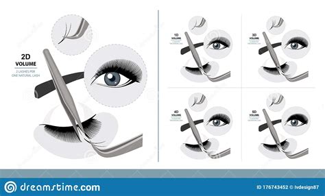 Eyelash Extension Style Chart Different Eyelash Extension Types And