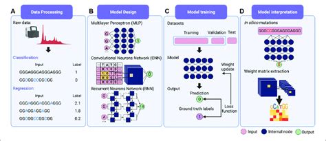 schematic overview of deep learning workflow a data processing download scientific