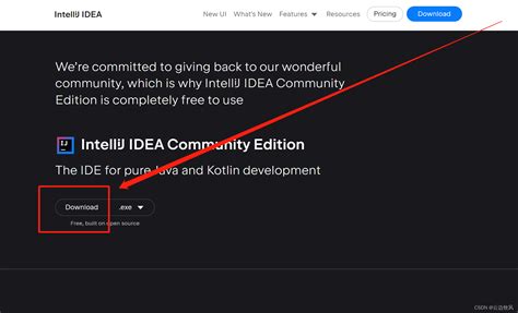 JDKIDEA安装教程 IDEA安装2023年10月 最新最详细免费亲测成功 idea jdk CSDN博客
