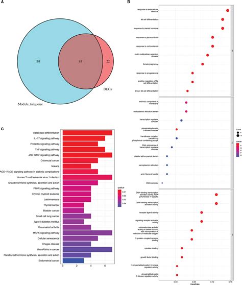 Frontiers Integrated Bioinformatics And Machine Learning Screening