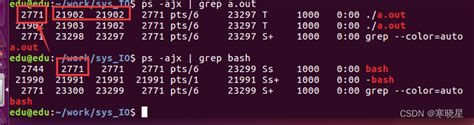 【linux】进程管理：进程控制块、进程号、fork创建进程、特殊进程及exec函数族解析 liunx 获取程序进程号 csdn博客
