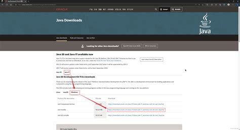java的安装与配置教程 java安装 csdn博客