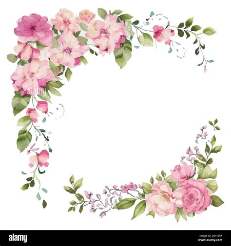 Watercolor Pink Flowers Border Vector Vintage Style Isoleted And