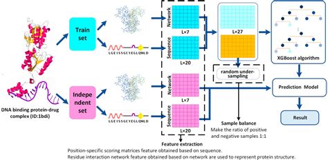 frontiers prediction of dna binding protein drug binding sites using residue interaction