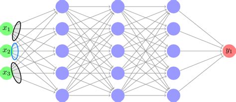an illustration of an adaptive group lasso neural network all weights download scientific