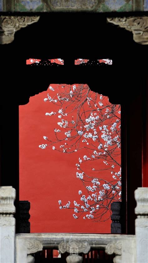 是春色满园关不住是红墙绿瓦宫门重春天真好By北京故宫 关不住 宫门 北京故宫 新浪新闻