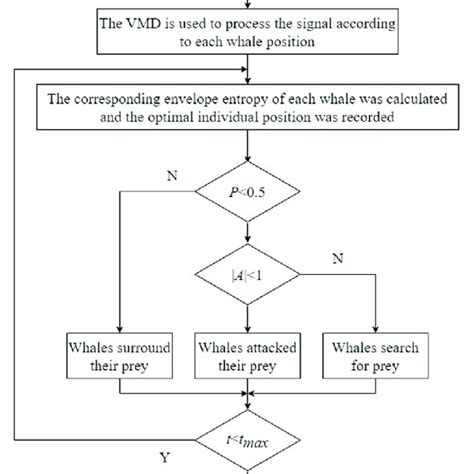 variational mode decomposition parameters optimization process by whale download scientific