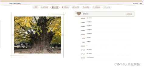 java php node js python苗木交易互助网站【2024年毕设】 基于php的助农网站毕设 csdn博客