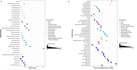 Enrichment Analyses Of Diseases And Pathways Associated With Precocious