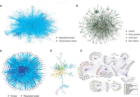 Getting Connected Analysis And Principles Of Biological Networks