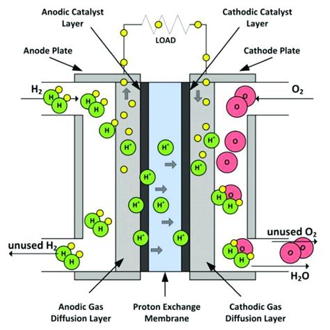 Proton Exchange Membrane Fuel Cell Diagram