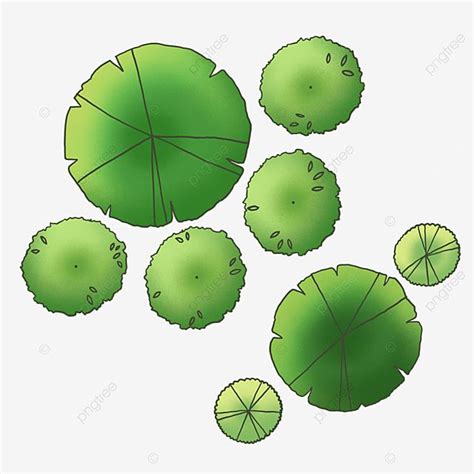 Land Scape PNG Transparent Top View Trees Land Scape Sketch Bigtree