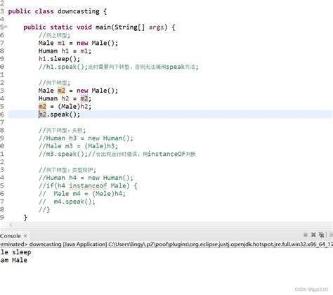 java的多态性 java多态性 csdn博客