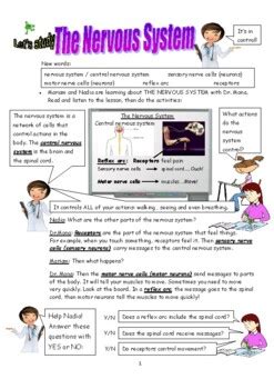 Nervous System For Grade 5