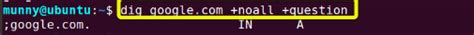 The Dig Command In Linux 10 Practical Examples