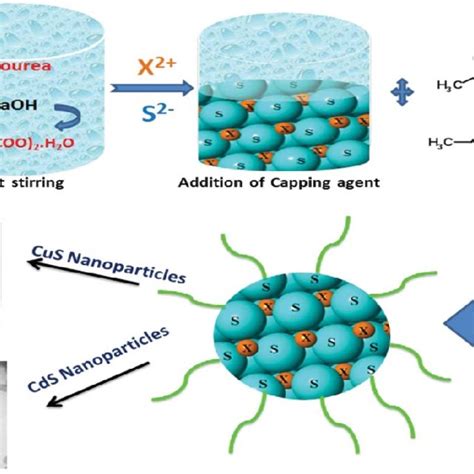X Ray Diffraction Pattern Of As Prepared CTAB Capped CuS Nanoparticles