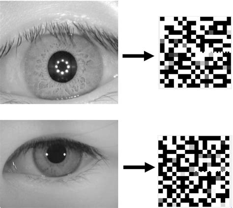 figure 1 from iris recognition algorithm based on contourlet transform and entropy semantic