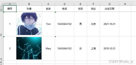 springboot easypoi 导入导出带图片excel实例 springboot 导入带图片的excel csdn博客