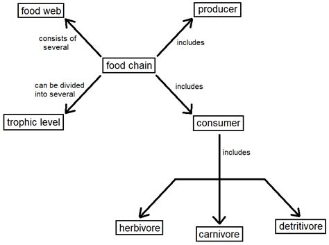 Textbf Color Default Concept Mapping Text Make A Quizlet