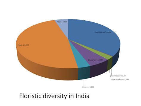 biodiversity use and conservation