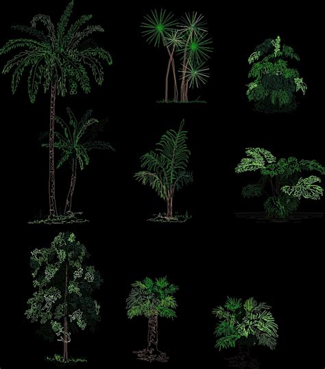 Acad Trees