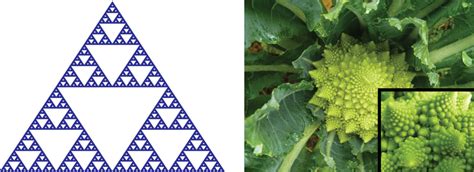 illustration of fractal self similarity a a sierpinski triangle is download scientific