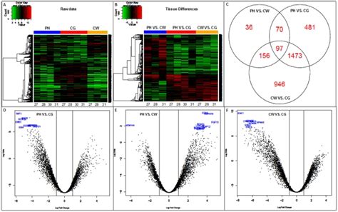 A And B Heat Maps Illustrating Gene Expression C Venn Diagram Of A
