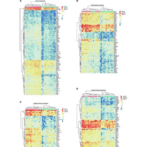 Heatmaps Of NSCLC Related Differentially Expressed Genes DEGs Based
