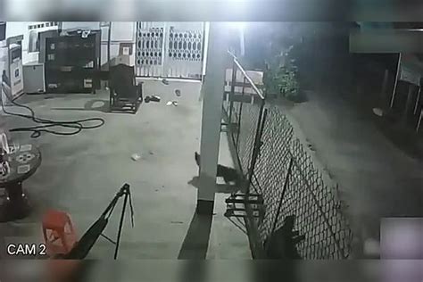 监控夫妻半夜听到动静赶紧出门查看监控还原真相过程 监控 动静 真相