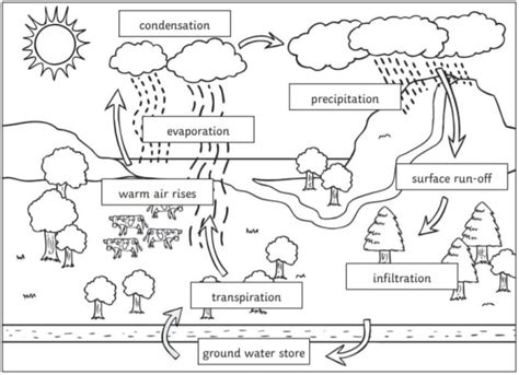 S2O Design Engineering On X The Water Cycle Is A Complex 50 OFF