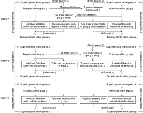1 patterns a c of individual selection within each heterotic group download scientific
