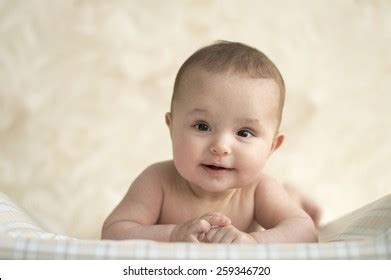 Baby Lying On His Stomach Stock Photo 259346720 Shutterstock