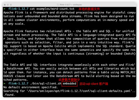 《十堂课学习 flink》第三章：flink sql 环境搭建 flink sql java csdn博客
