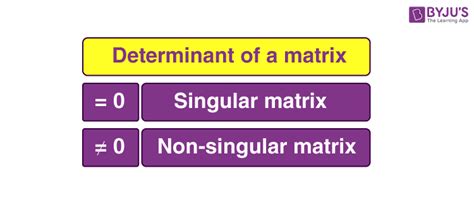 singular matrix definition types properties and examples