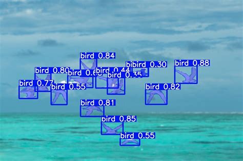 object detection projects using yolov5 yolov7 yolov8 52 off