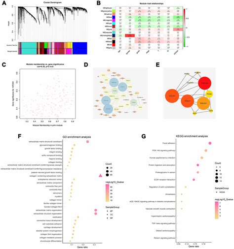 Upregulation Of KIF20A Promotes Tumor Proliferation And Invasion In
