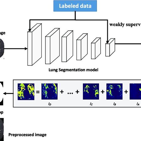 data preprocessing using weakly supervised learning download scientific diagram