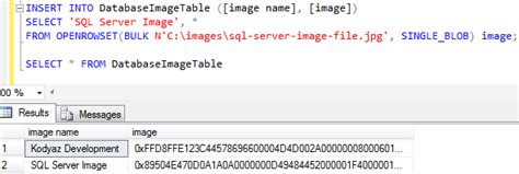 Save Image To Database Table In SQL Server