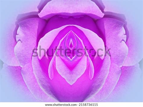 Sex Pussy Vulva Clitoris Vagina Orgasm库存照片2158736115 Shutterstock