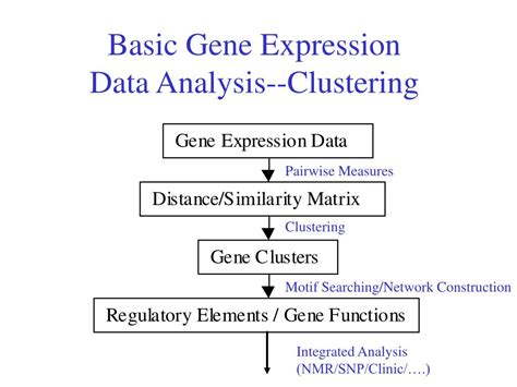 ppt basic gene expression data analysis clustering powerpoint presentation id 1331461