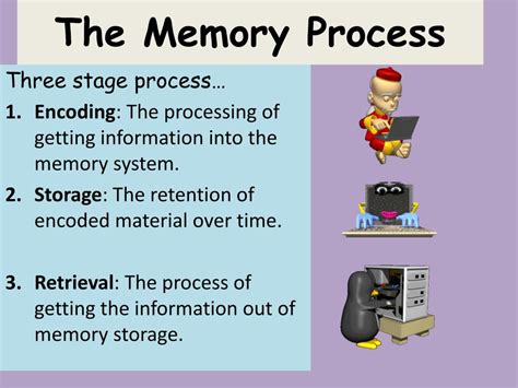 ppt chapter 9 memory powerpoint presentation free download id 5721589