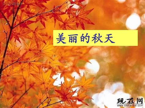 秋天的景色作文 word文档在线阅读与下载 免费文档