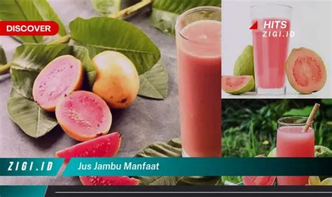 Temukan 7 Manfaat Jus Jambu Yang Jarang Diketahui