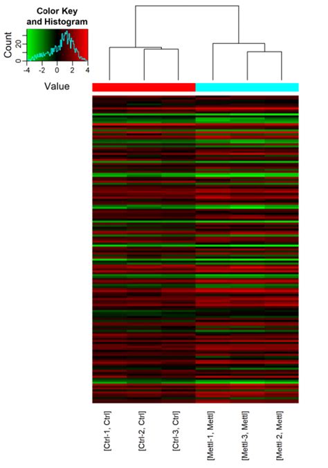 Mrna Lncrna