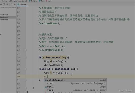 java——多态 多态技术中指令替换计算 csdn博客
