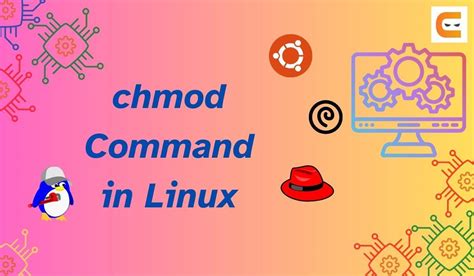 Chmod Command In Linux With Examples Naukri Code